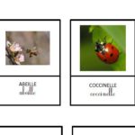 Livret éducatif cahier activités pédagogiques plus de 60 pages thème ...