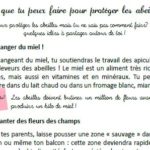 Livret éducatif cahier activités pédagogiques plus de 60 pages thème ...