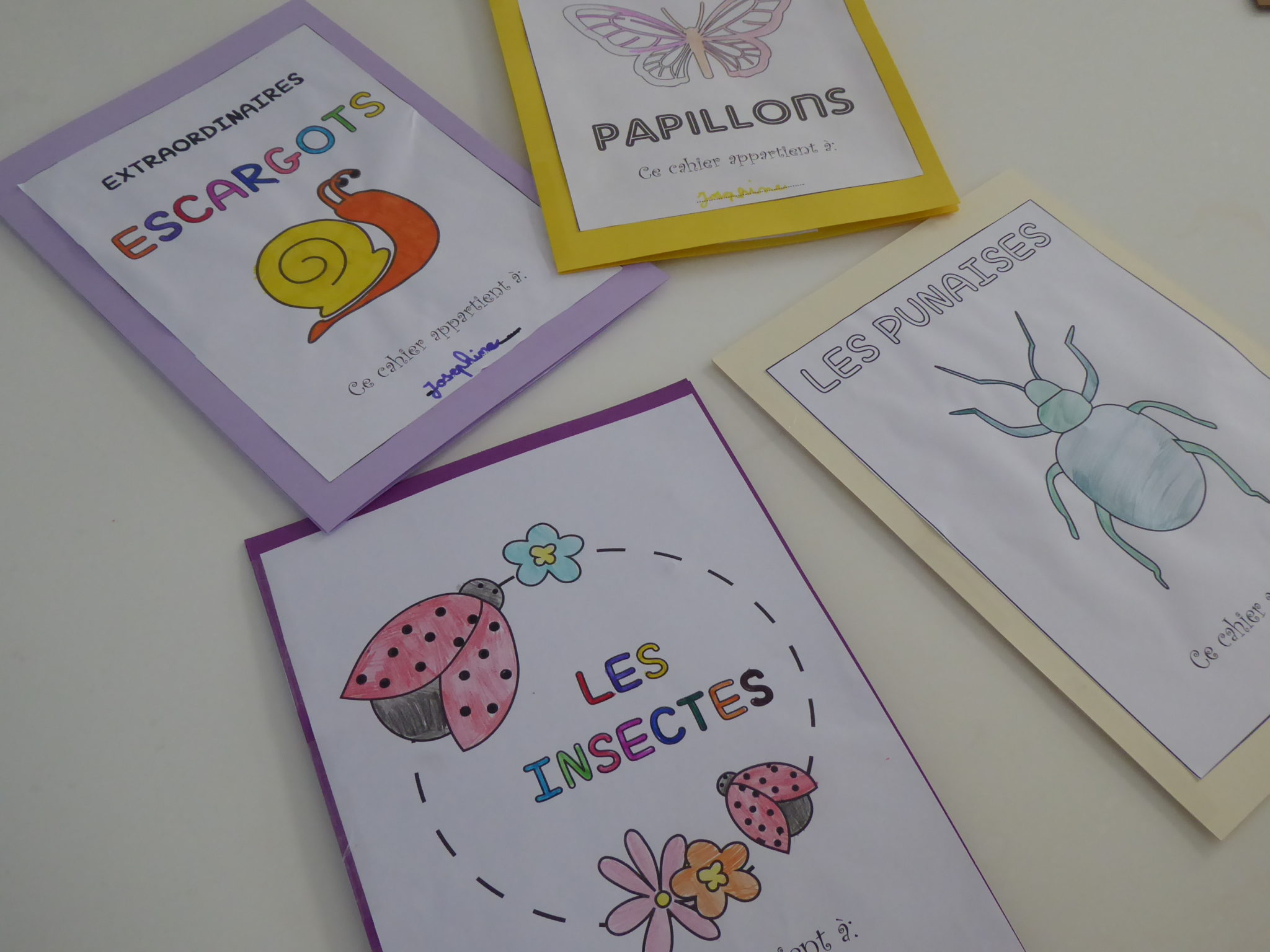 Lapbook sur le thème des INSECTES à télécharger au format PDF